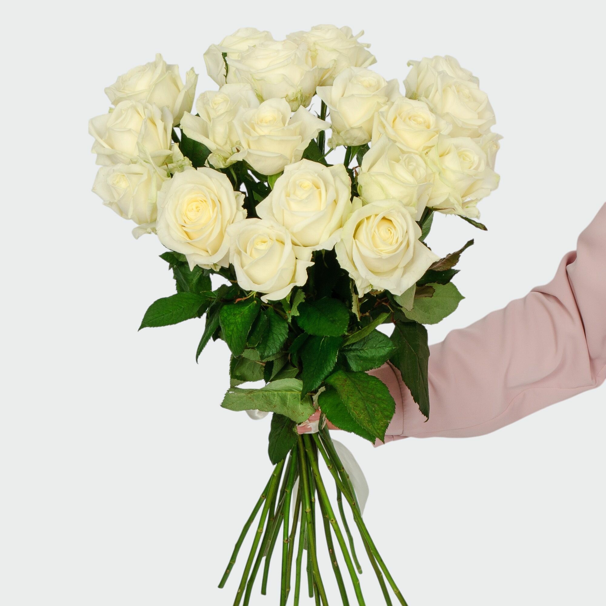 Букет от СоюзЦветТорг из 19 роз сорта Аваланш 60см, цвет белый