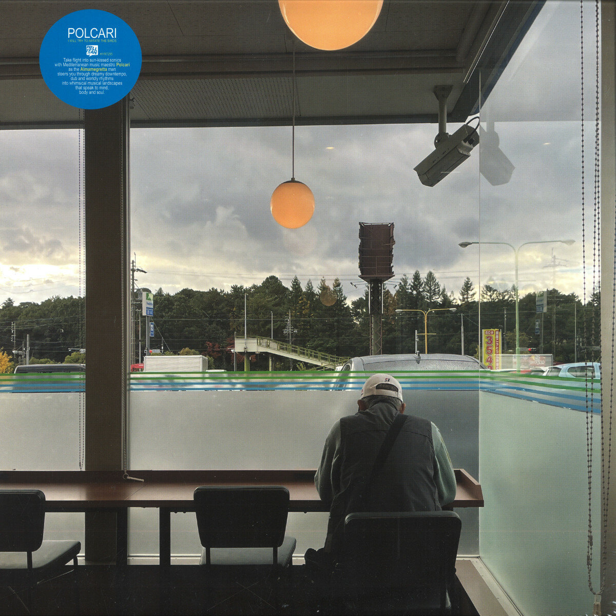 Пластинка Polcari - I Will Try To Imitate The Birds