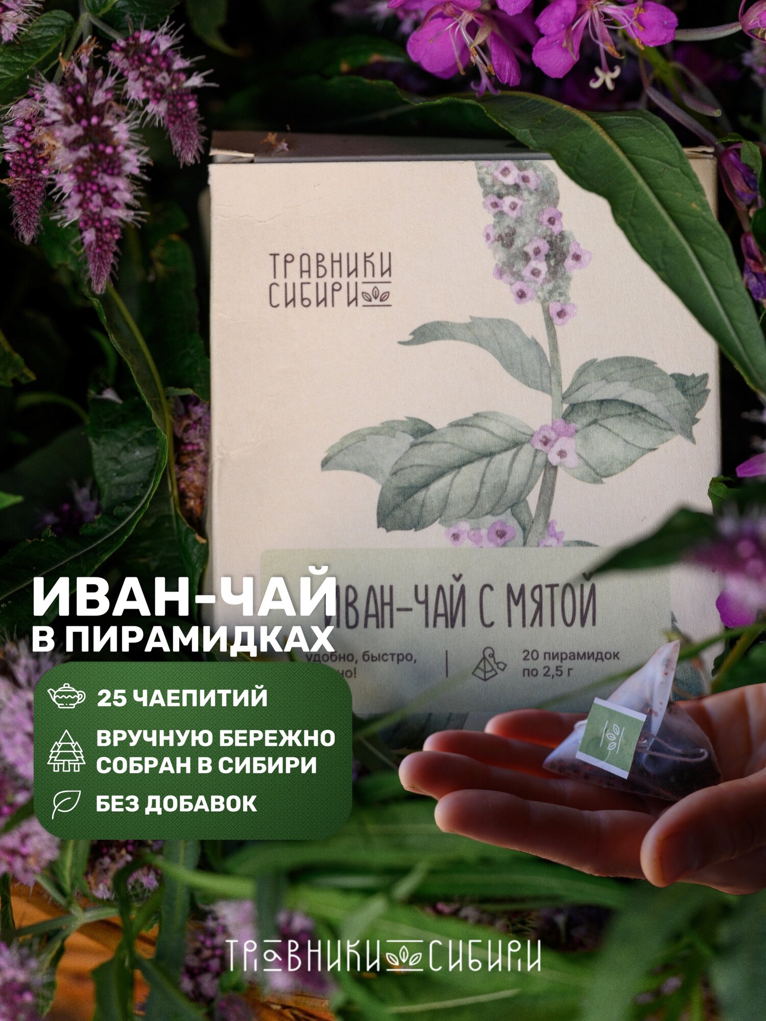 Иван-чай с мятой в коробке, Травники Сибири, пирамидки, 20 шт