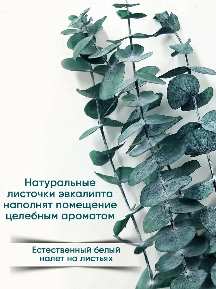 Сухоцветы, 55 см, 150 гр — фото 1
