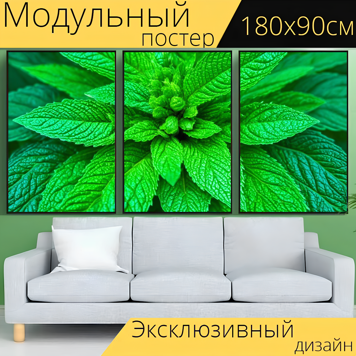 Модульный постер "7. мятный цвет" 180 x 90 см. для интерьера на стену в тубусе