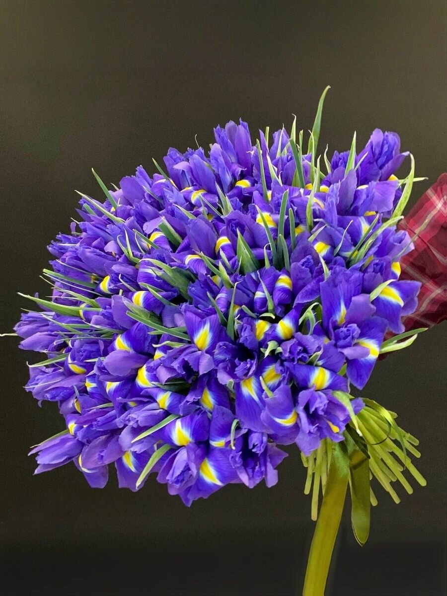Букет из 51 ириса