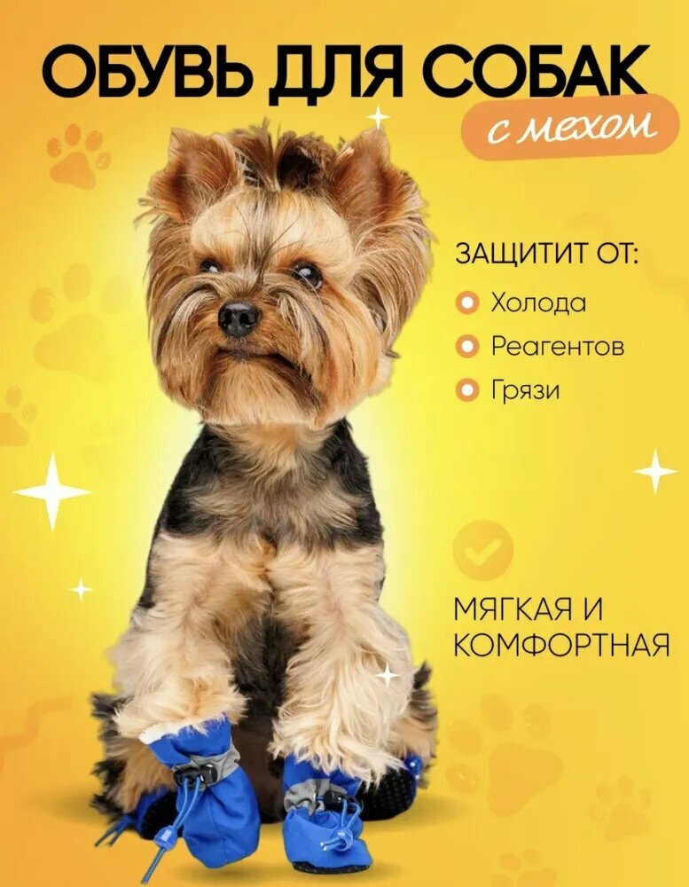 Обувь для собак