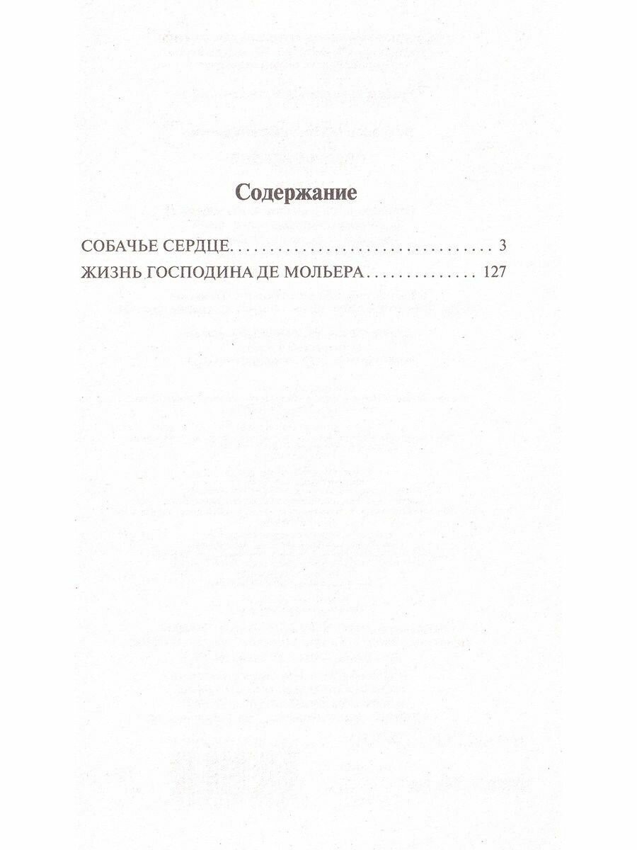 Собачье сердце — фото 1