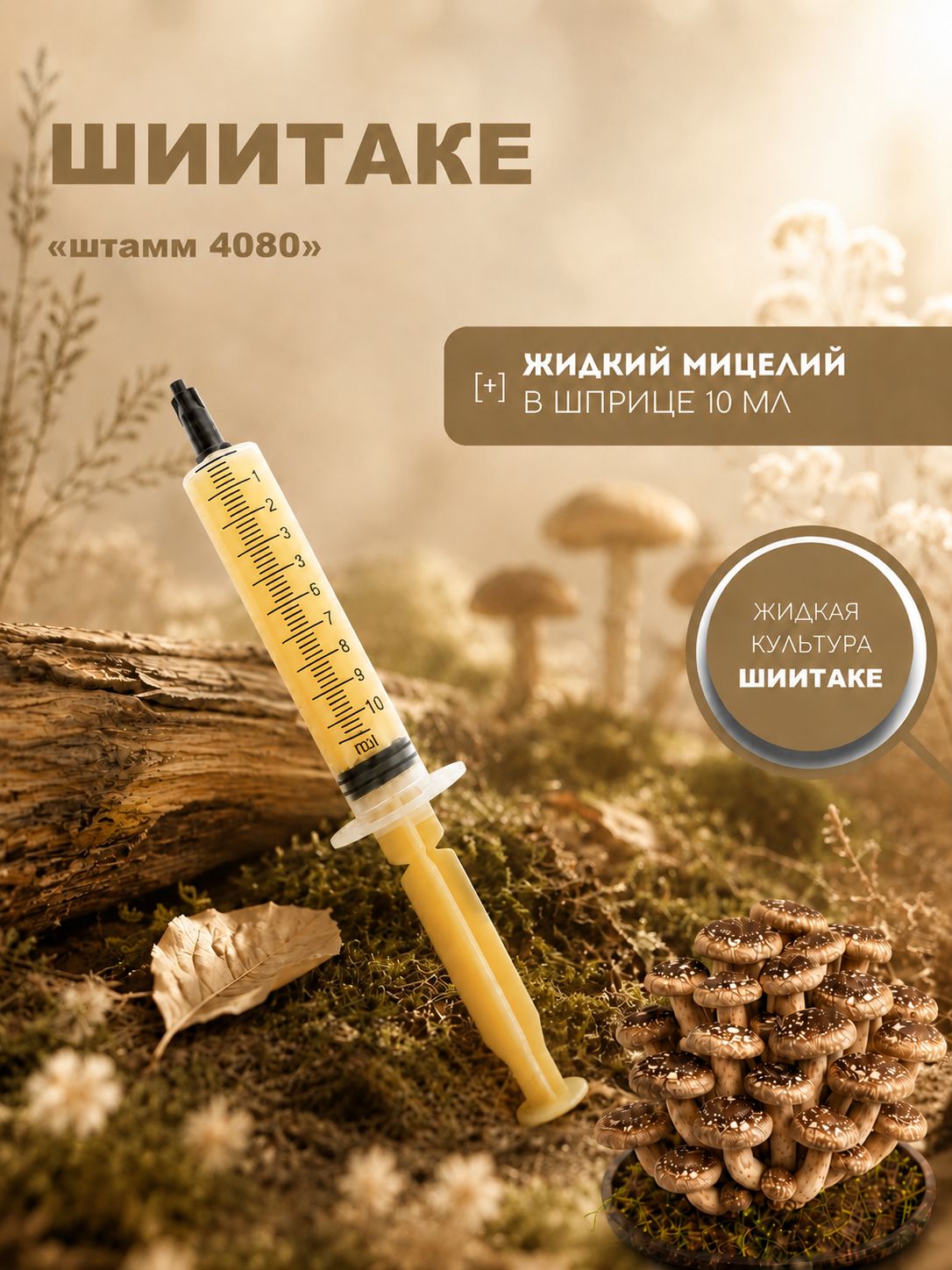 Жидкий мицелий Шиитаке 4080 - 10мл.