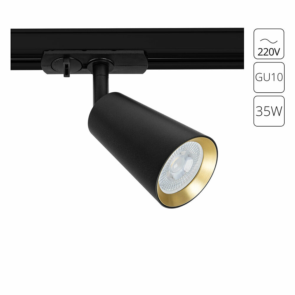 Потолочный светильник Arte Lamp Cintura A2355PL-1BK