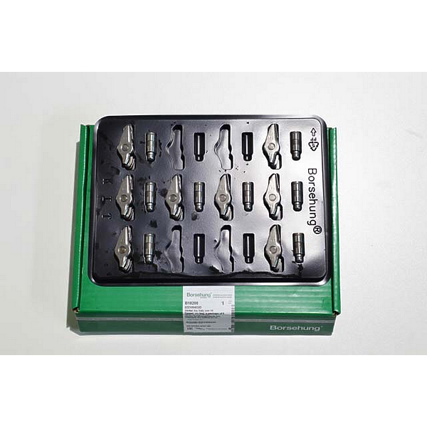 BORSEHUNG B18208 гидрокомпенсатор+рокер к-кт 8x8\ Audi (Ауди) a3 / a4 / a5 / a6 / a8 / q7 / allroad 1.6-5.2 04