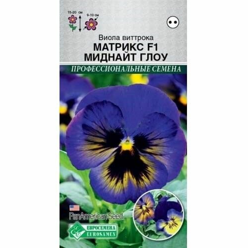Виола виттрока Матрикс Миднайт глоу F1