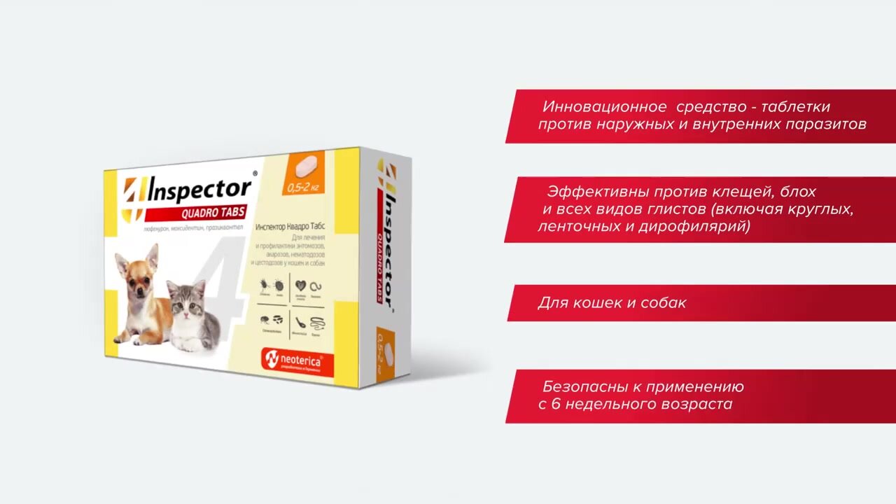 Inspector Quadro Таблетки для кошек и собак 0,5-2 кг, от глистов, насекомых, клещей — фото 1