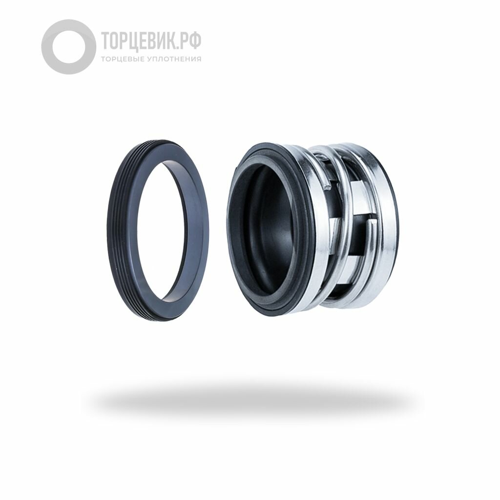 Торцевое уплотнение 0250 2100/S/AAS1S1/G60