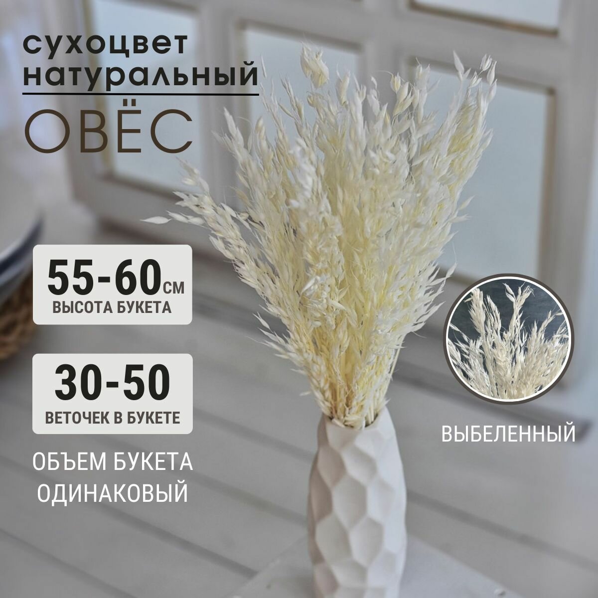 Сухоцветы для декора овес Trava Decor сухоцвет белый для вазы, кашпо, интерьера