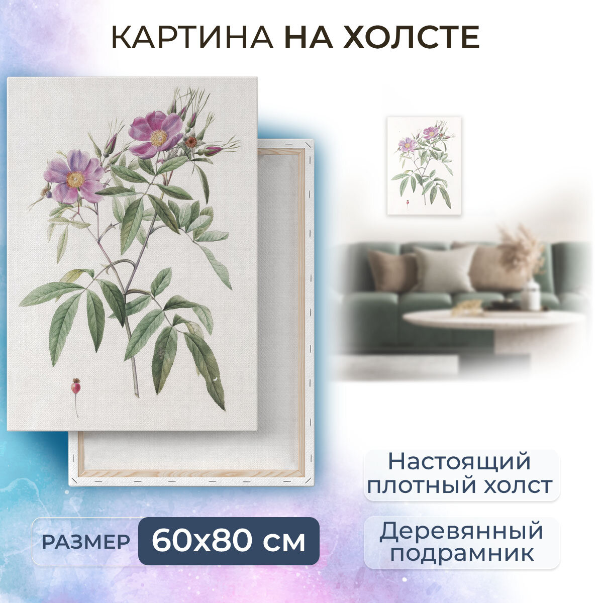 Картина на холсте с подрамником / Pierr - Joseph Redoute / Пьер-Жозеф Редуте
