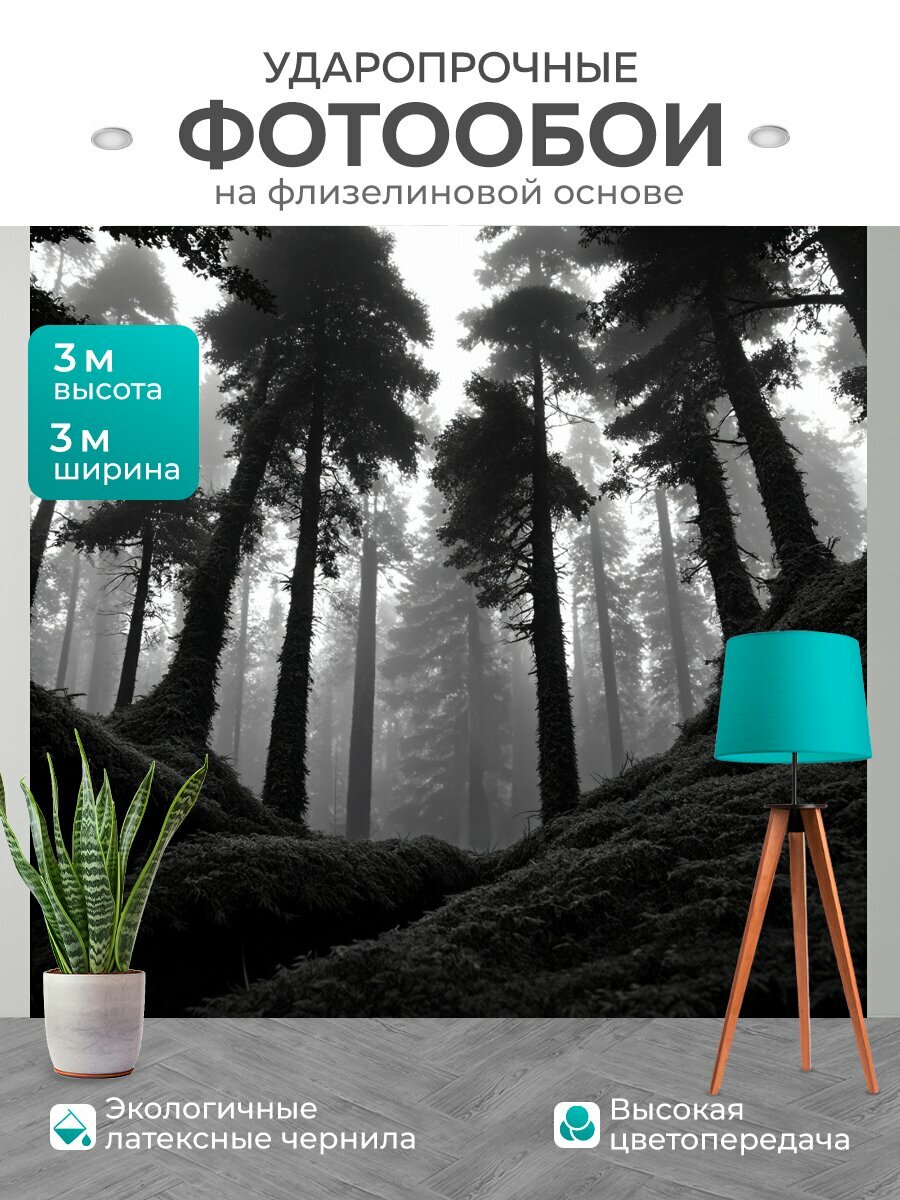 Фотообои моющиеся ударопрочные "Фотообои лес в стиле черно-белый: изометрическое изображение густого леса с высокими деревьями, покрытыми мхом," 300x300 см. флизелиновые на стену