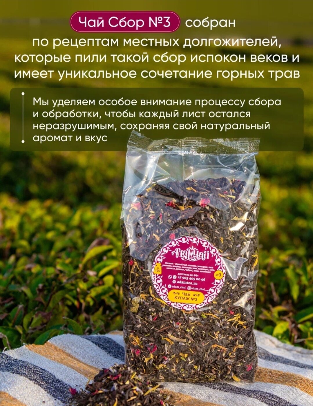 Чай чёрный горные травы, сбор №3 Адам чай со своей плантации в г. Сочи, 100 г — фото 1