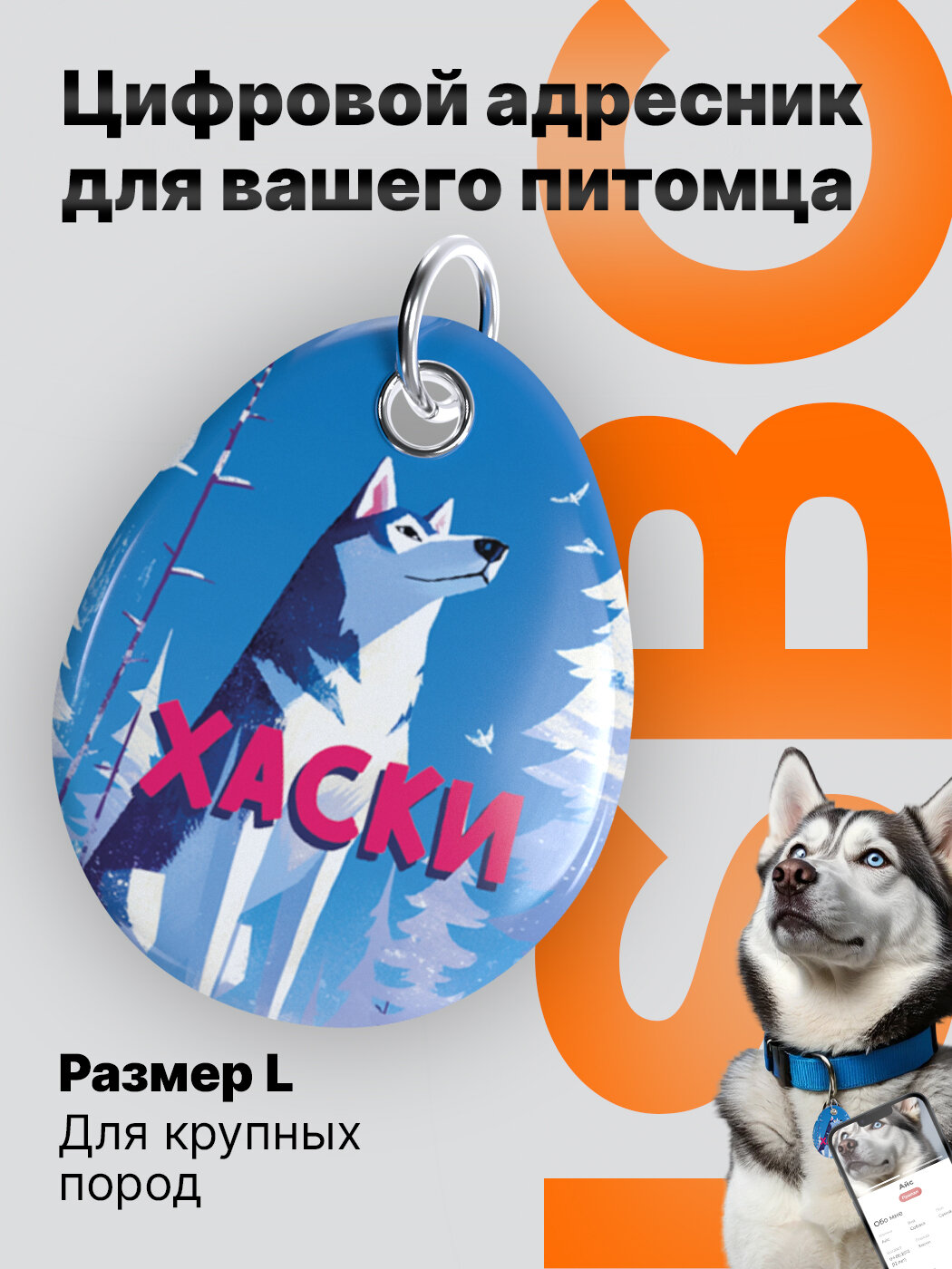 Цифровой Адресник для собак породы хаски от ISBC с NFC и QR-кодом