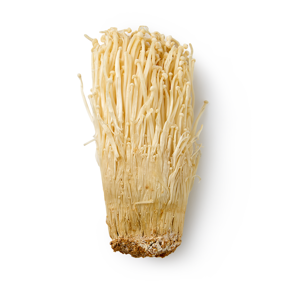 Грибы Еноки, свежие, целые, упаковка флоу-пак, требуют приготовления, вес 100г