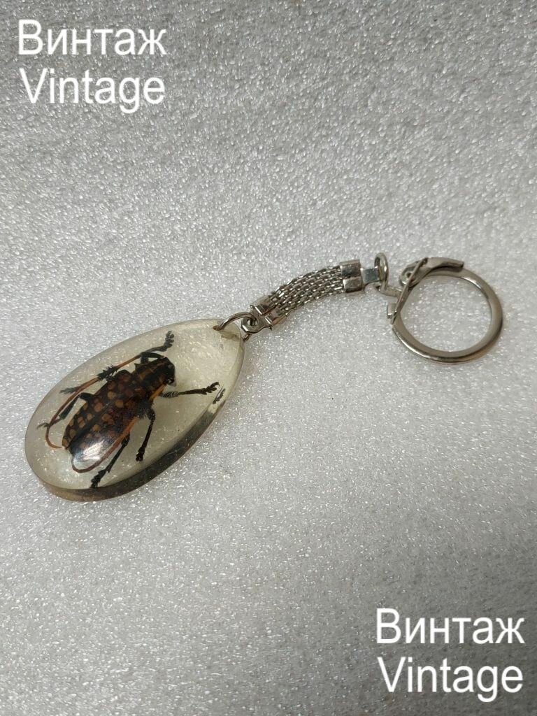 Винтажный брелок с настоящим жуком Ambor (2)