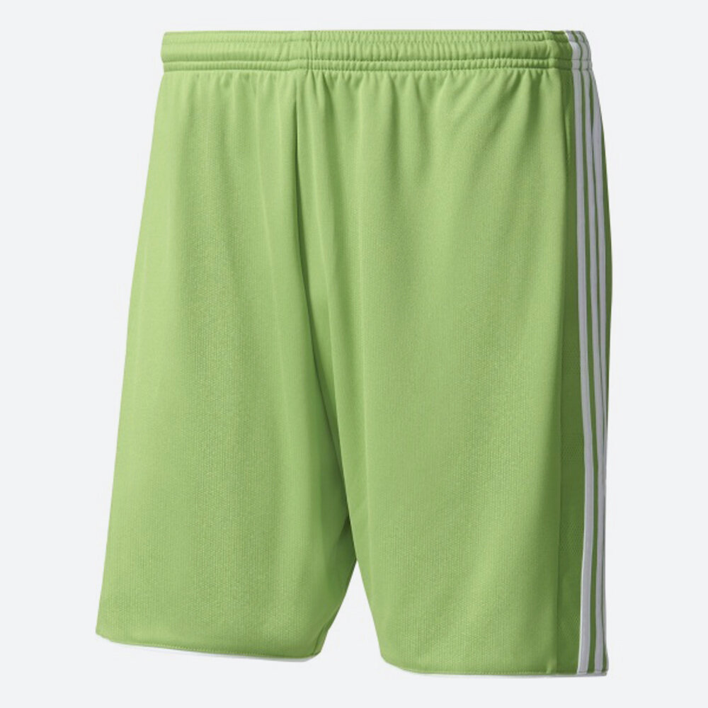 Шорты спортивные Tastigo 17 Short