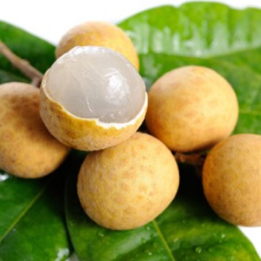 Семена Deodar SEEDS COMPANY Лонган 3 шт.