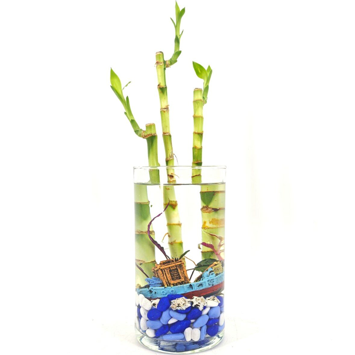 Дизайнерская настольная композиция бамбук в вазе с декоративной фигуркой корабль. "Счастливый Бамбук" - Drасаеnа Luсky Ваmbоо. Драцена Сандериана ( Drасаеnа Sаndеriаnа )