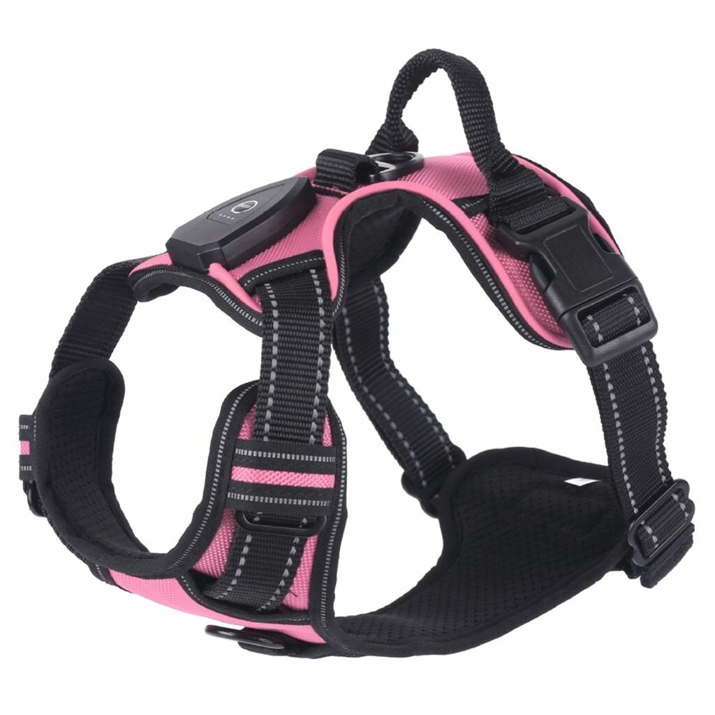 Собачья шлейка с LED-подсветкой, Розовый - M
