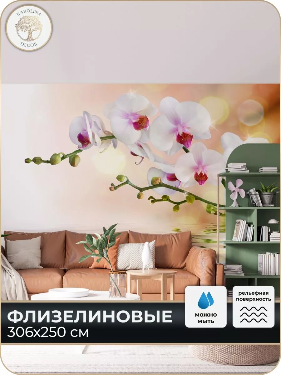 Фотообои Орхидея в детскую в спальню на кухню 300х250