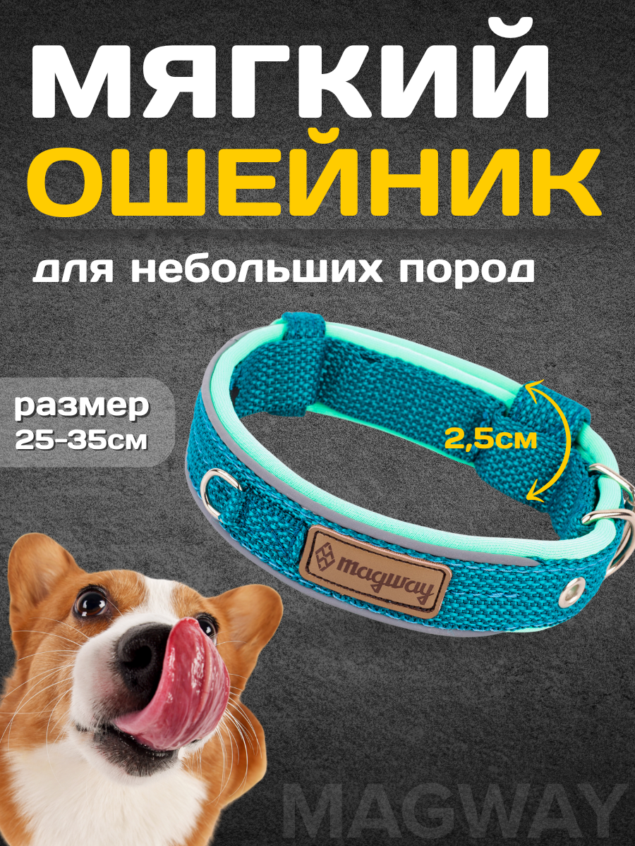 Ошейник для небольших пород MagWay широкий 2,5см, мягкий, для щенков и взрослых, обхват шеи 25-35см, цвет бирюзовый
