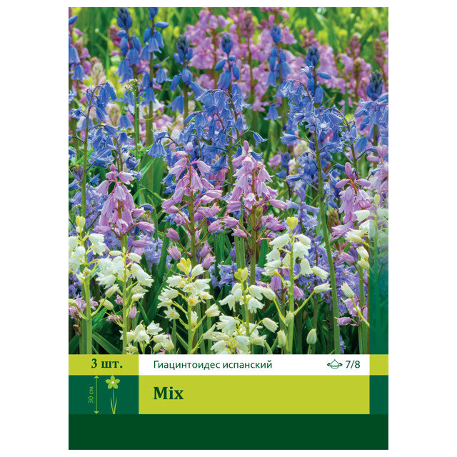 Луковицы растений Гиацинтодес Испанский Смесь 7/8 - набор 3 шт для цветника