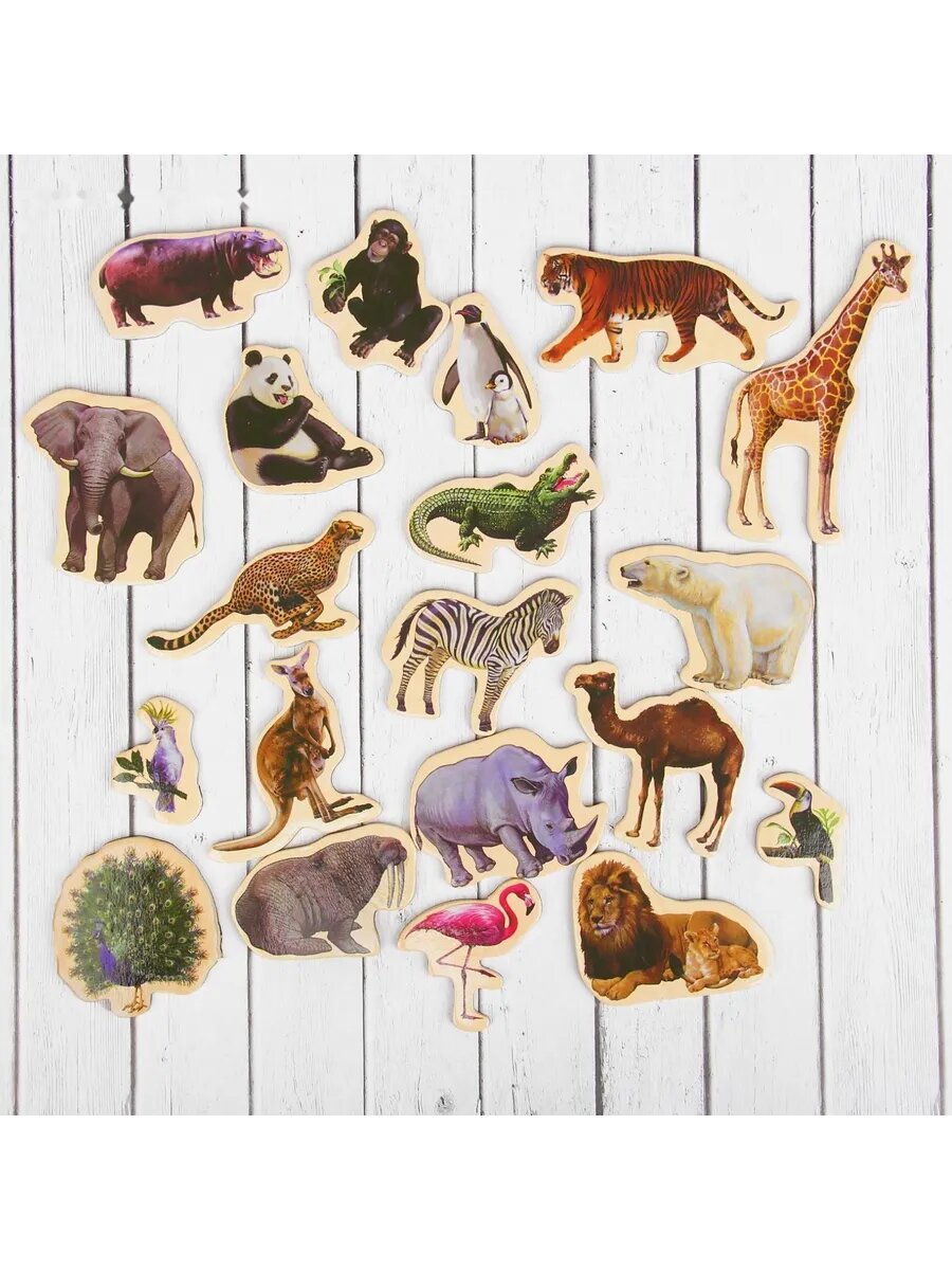 Набор магнитов Дикие животные 20 шт.