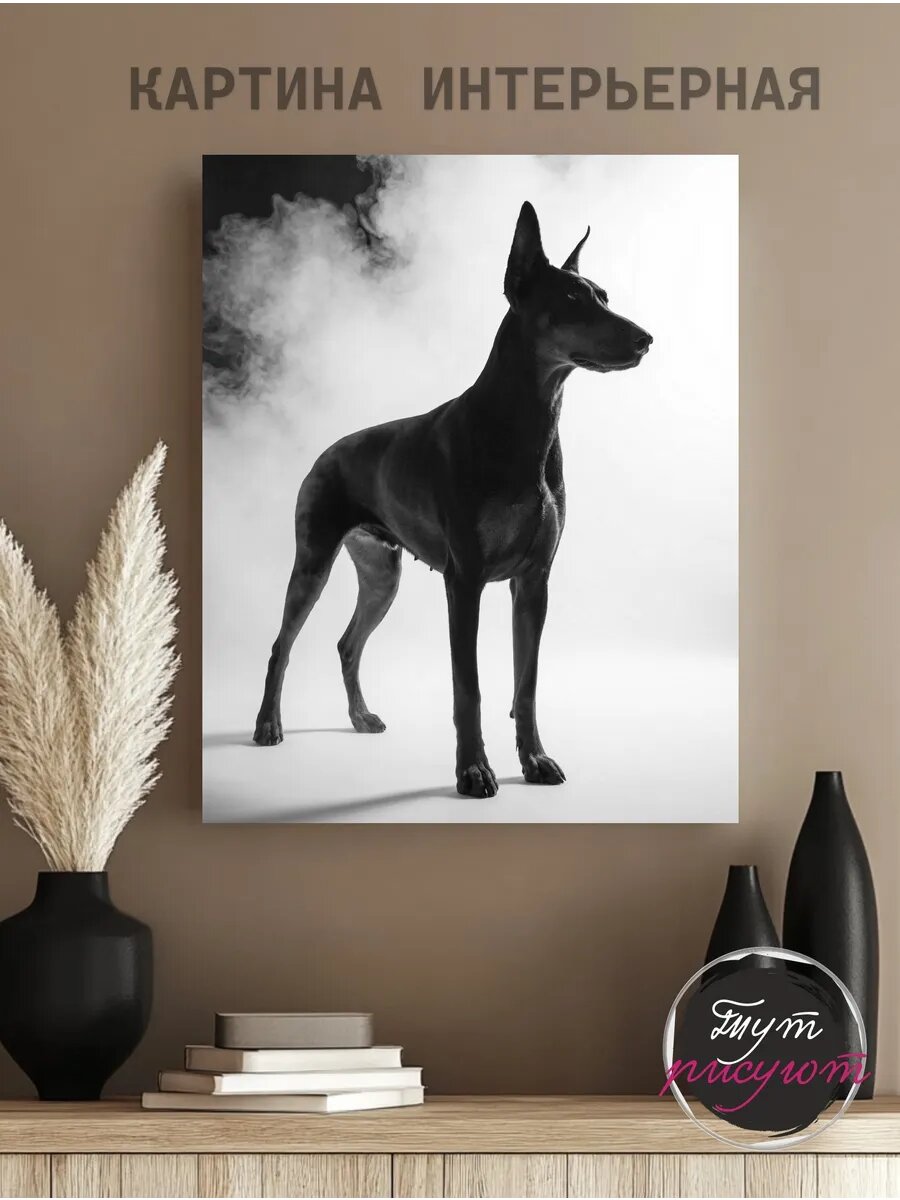 Картина, Постер "Доберман", интерьерная, холст, на подрамнике, 40x50 см