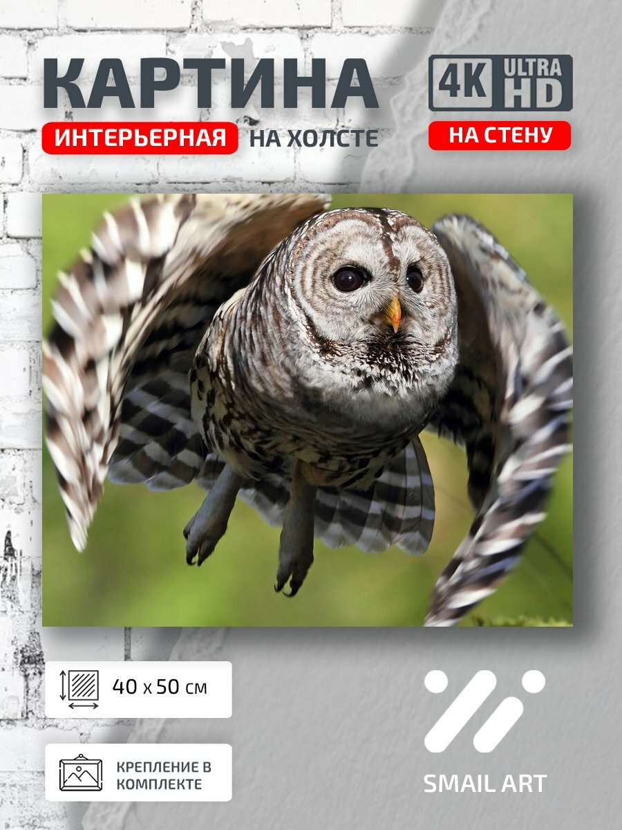 Картина на холсте интерьерная 40 на 50 на стену Воздухе Animal для кафе animal style декор