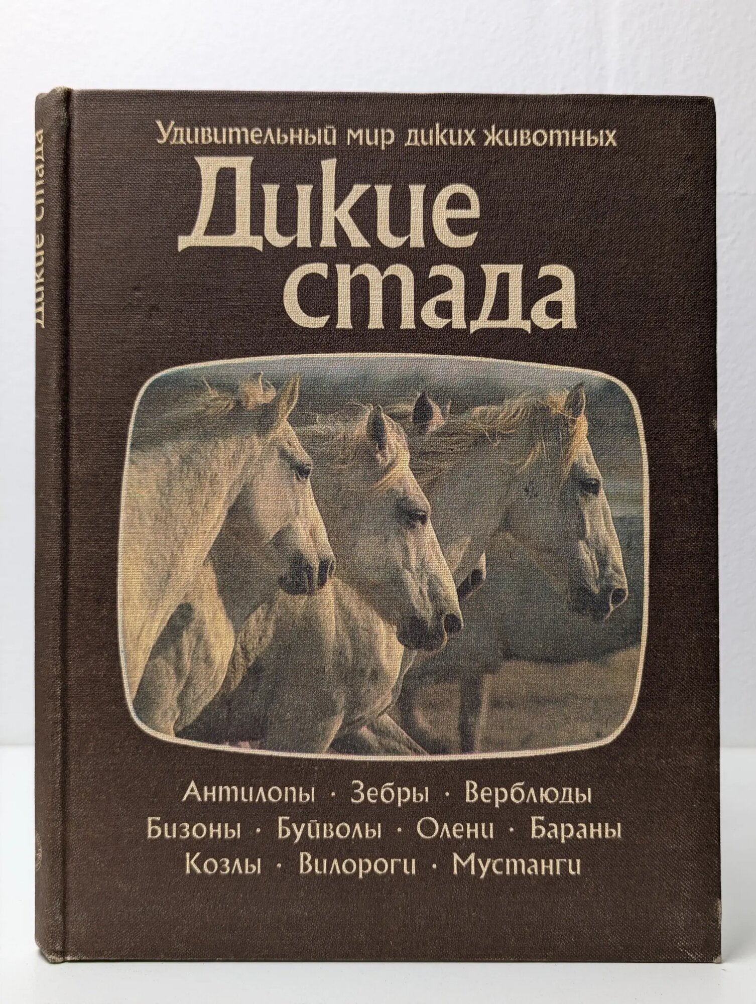Дикие стада Нири Джон 1984