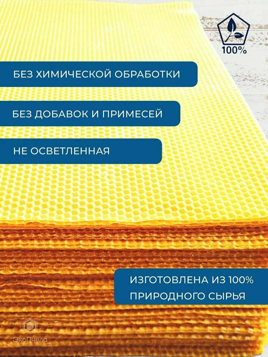 Вощина — фото 1