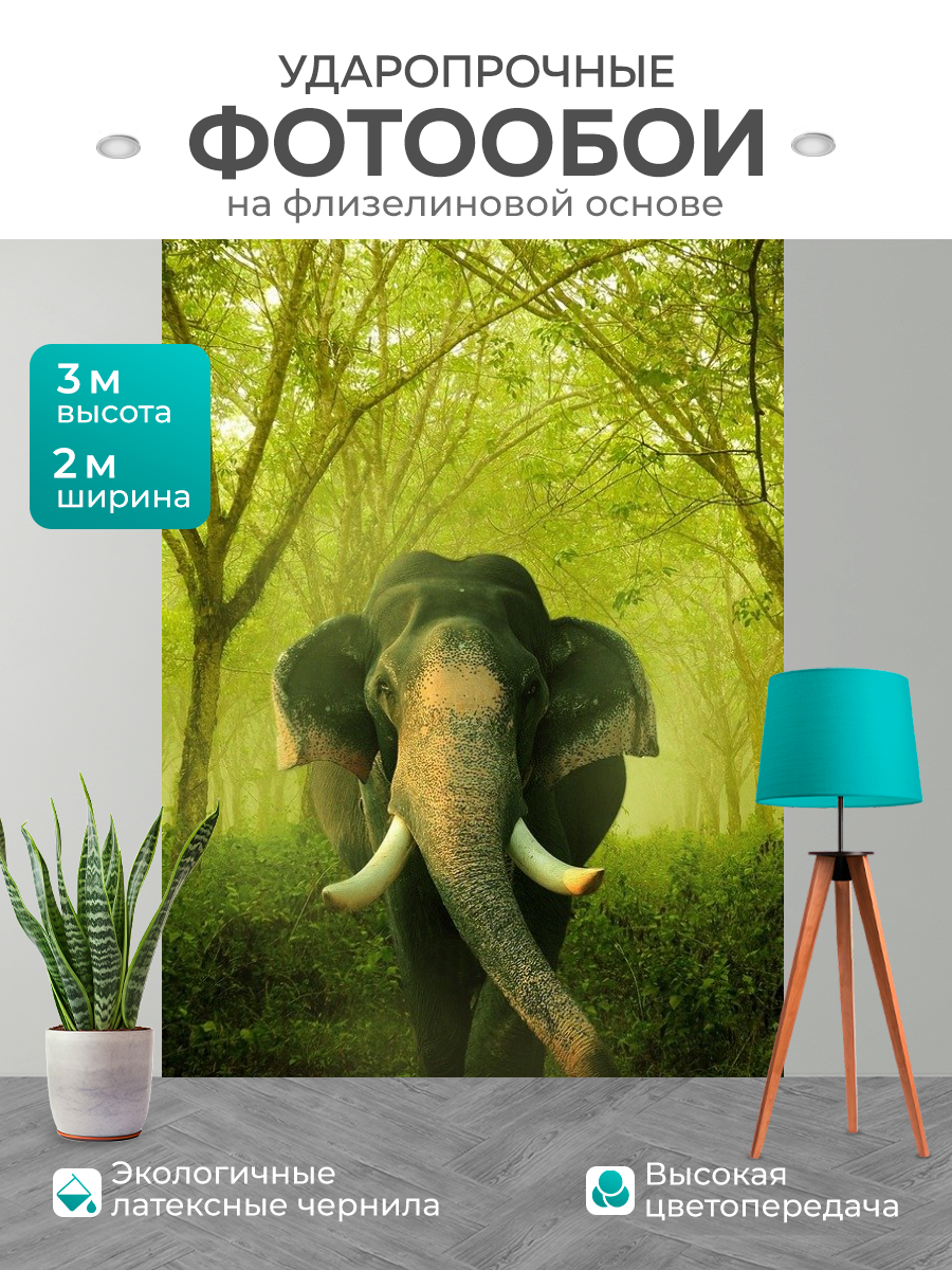 Фотообои моющиеся ударопрочные "Слон, индийский, азия" 200x300 см. флизелиновые на стену