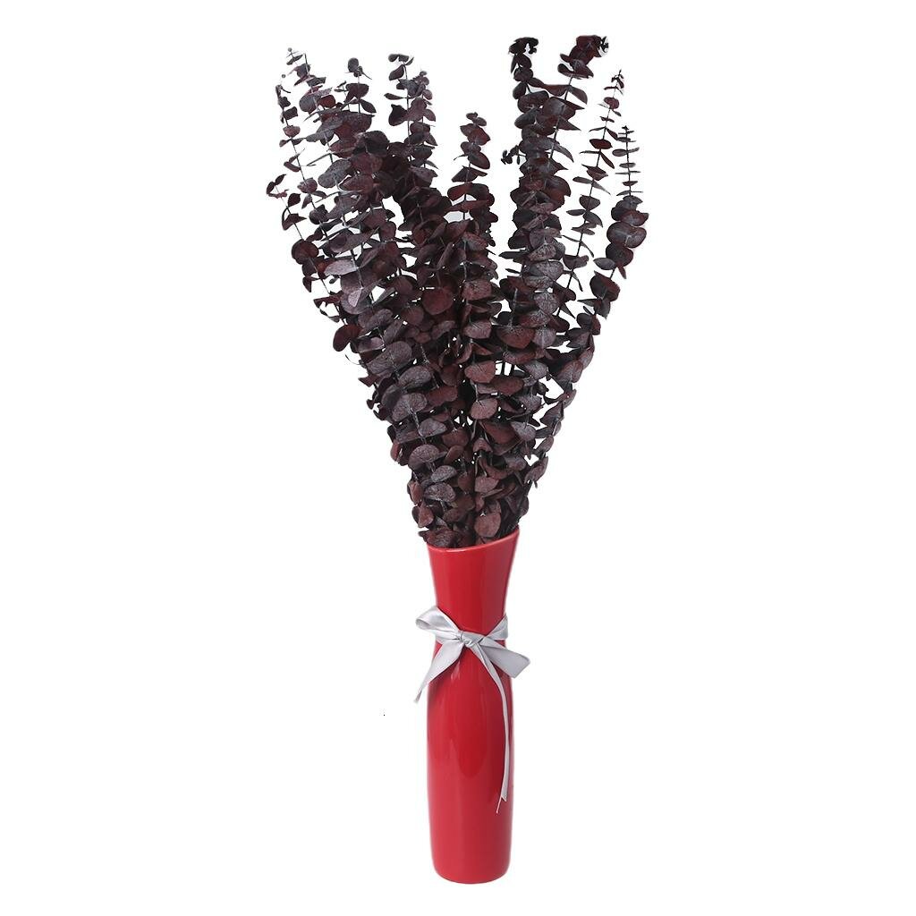 Сушеные ветки эвкалипта, 20 шт, Стиль 1