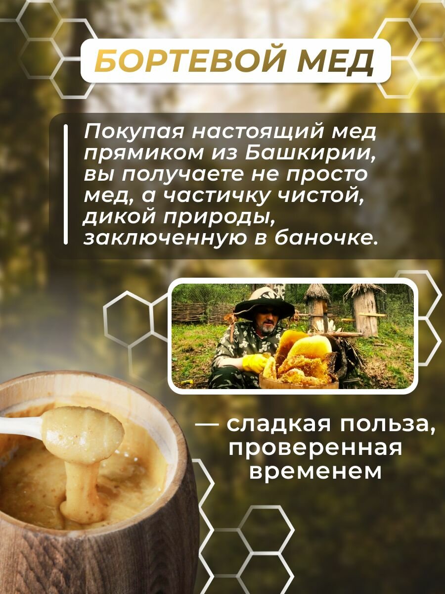 Бортевой дикий мед, перга, пыльца, прополис, натуральный продукт.
