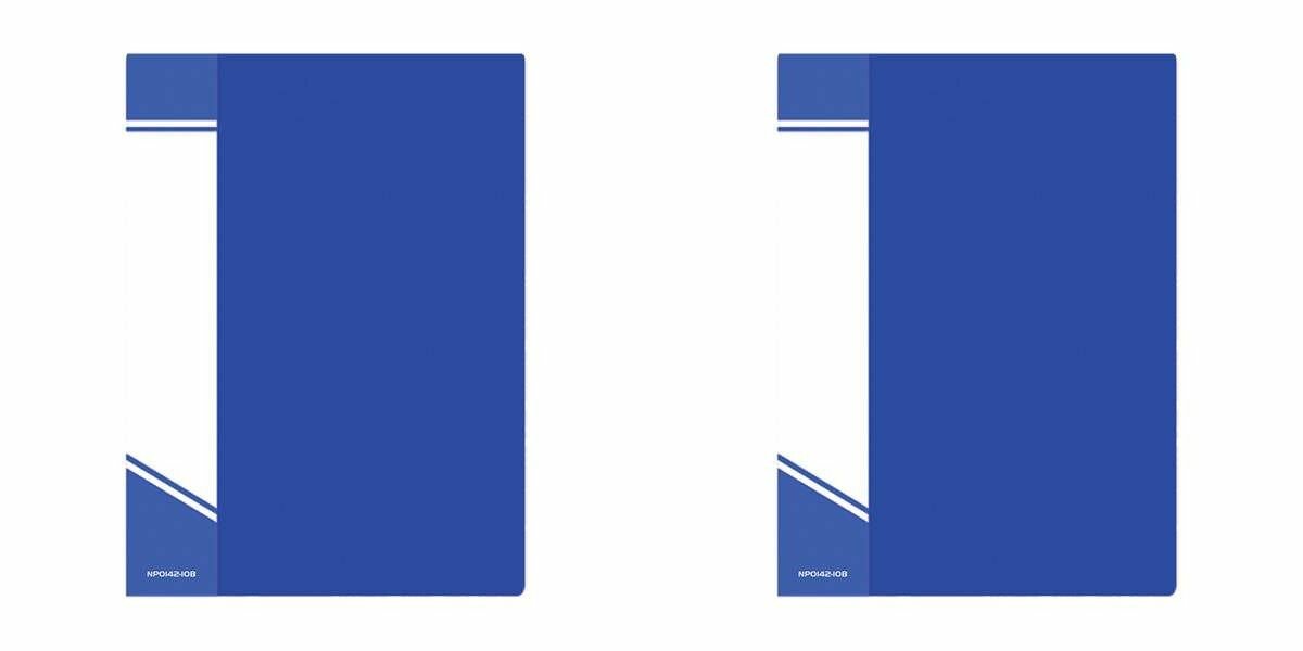 InФормат Папка с файлами, А4, 10 файлов, синий, пластик, 500 мкм, 2 шт.