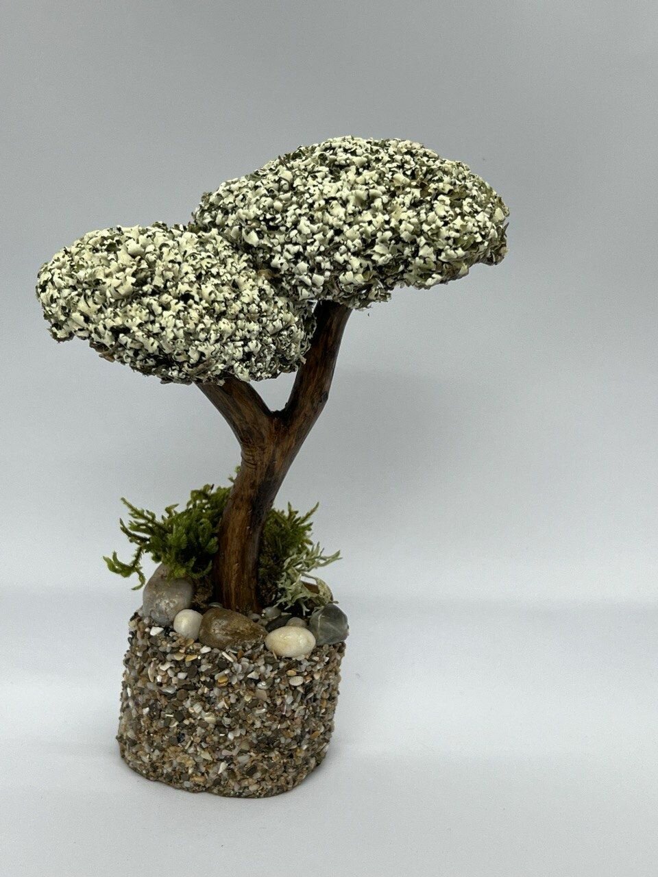 Живое дерево из исландского мха цетрария "Влюбленная пара" 20 см