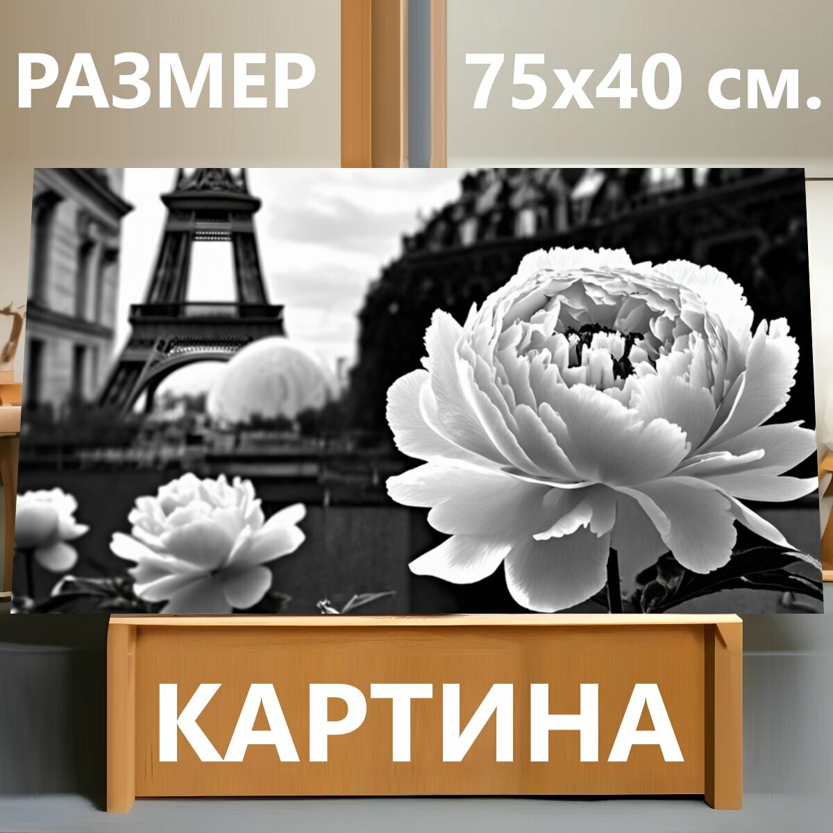 Картина на холсте "Пионы в черно-белом стиле, помещенные на фоне старого парижа, создающего романтическую атмосферу с элементами исторической архитектуры" на подрамнике 75х40 см. для интерьера