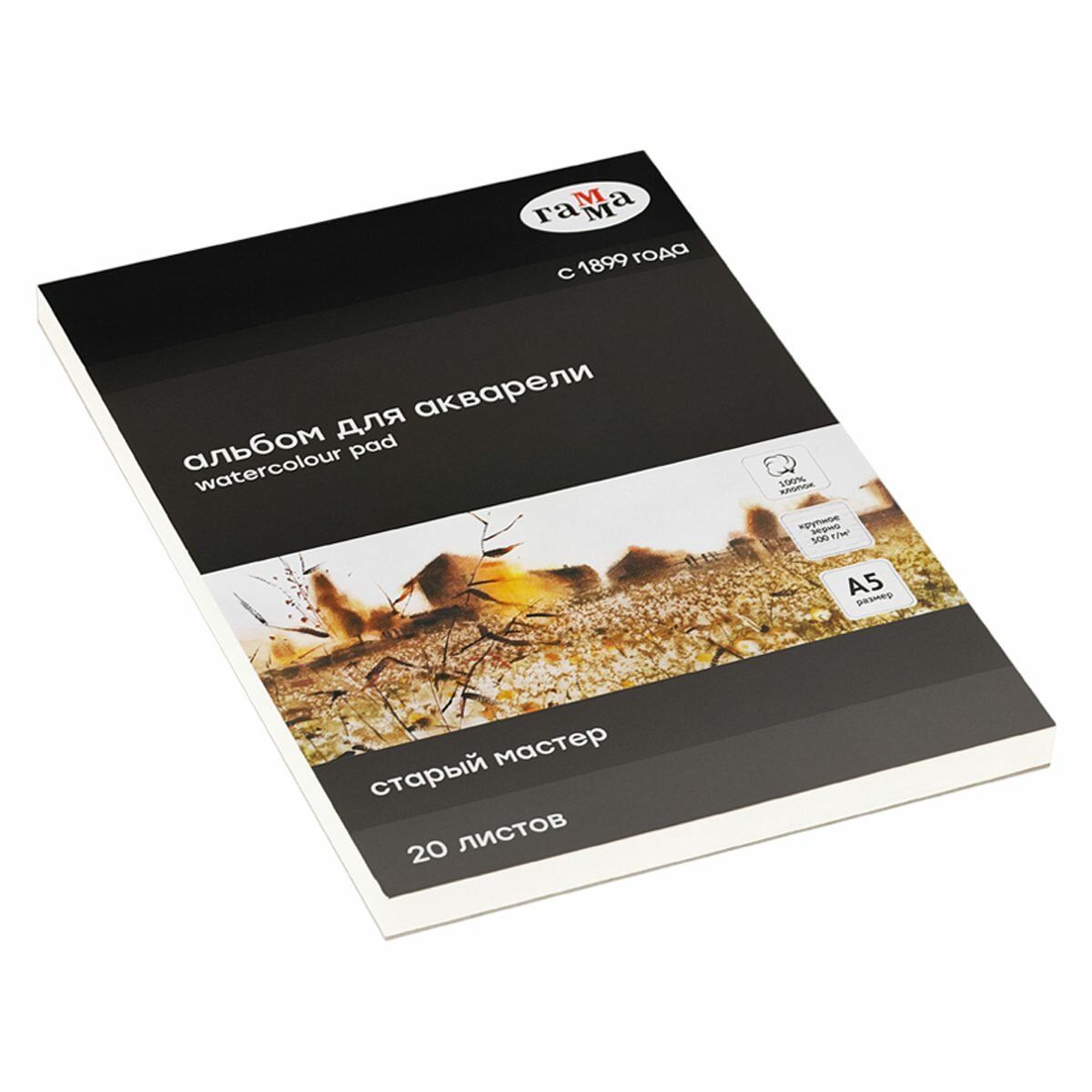 Альбом для акварели А5, 20л Гамма "Старый Мастер" (300 г/кв. м, крупное зерно, 100% хлопок) (215537AGRC), 5шт.