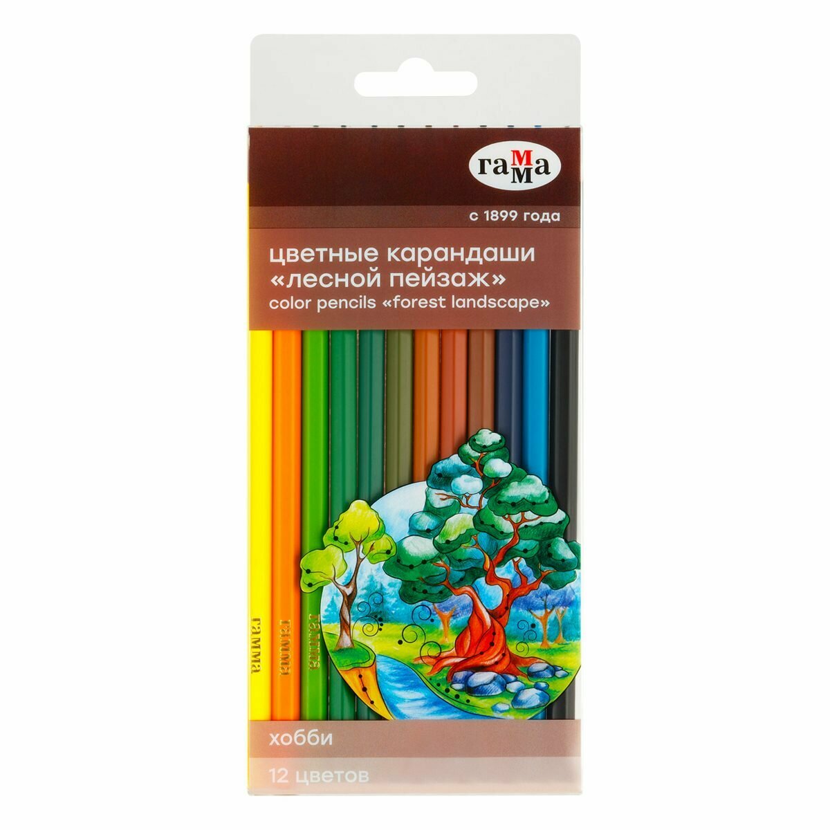 Карандаши цветные 12 цветов Гамма "Хобби. Лесной пейзаж" (L=174мм) ПВХ, европодвес (280620214), 12 уп.