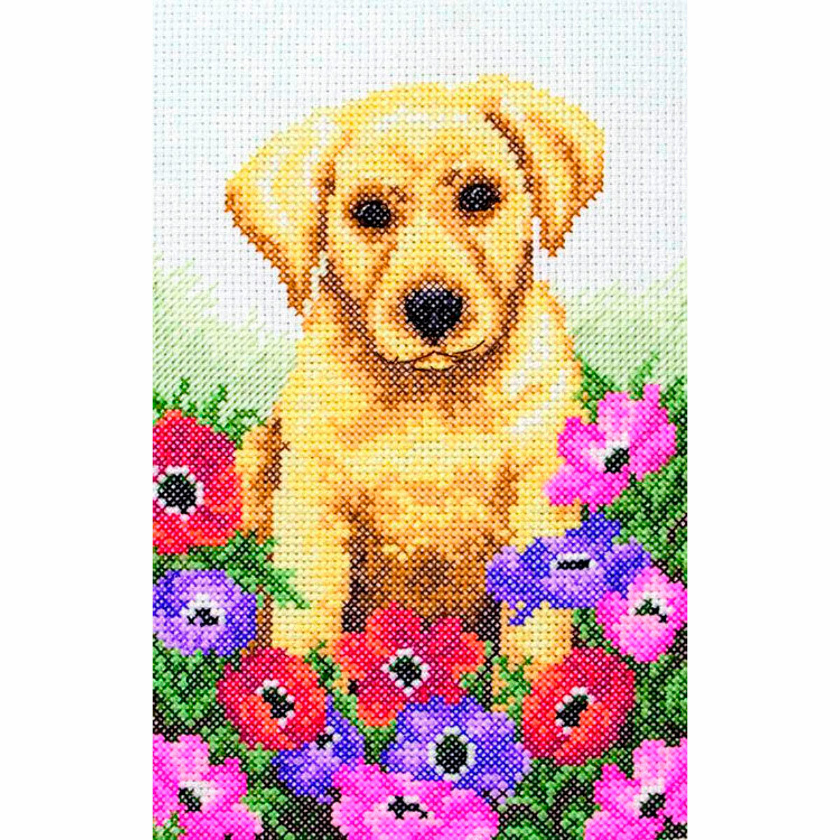 Набор для вышивания Anchor "Puppy" 23*16см, MEZ Венгрия, PCE759