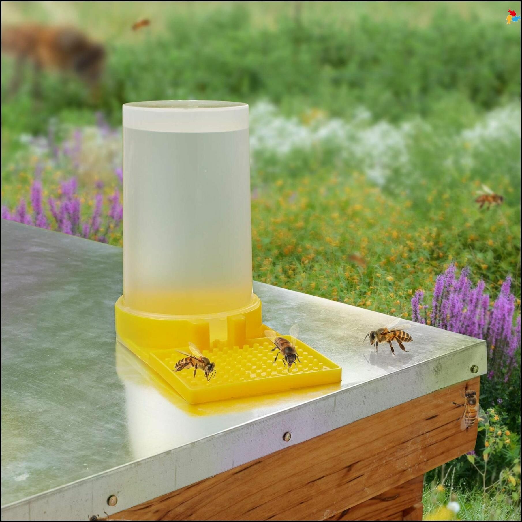Кормушка для пчел потолочная, 10 шт, для пчеловодства