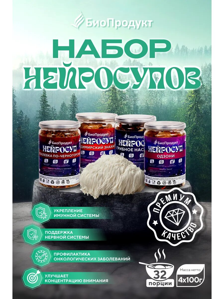 Набор супов с ежовиком гребенчатым, нейросуп