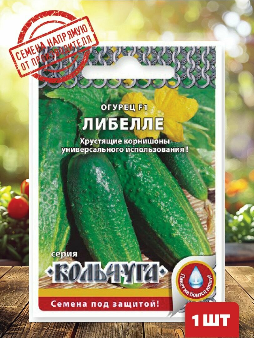 Огурец Либелле F1 "Кольчуга NEW"