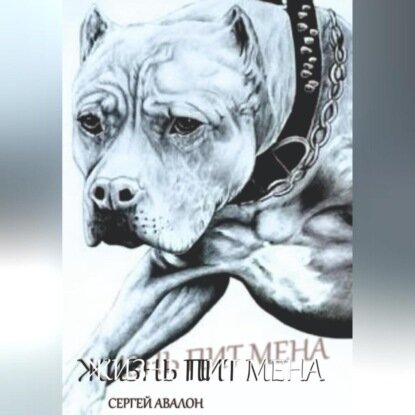 Жизнь Пит мена [Аудиокнига]