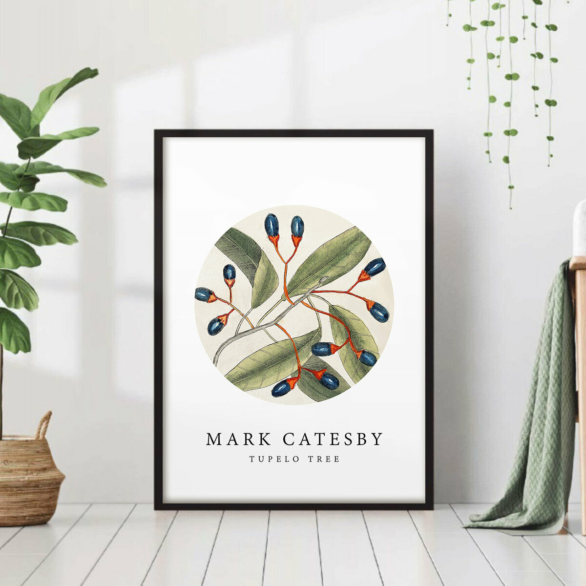 Постер " Ботаническая иллюстрация репродукция" 40x50 в черной рамке для интерьера на стену