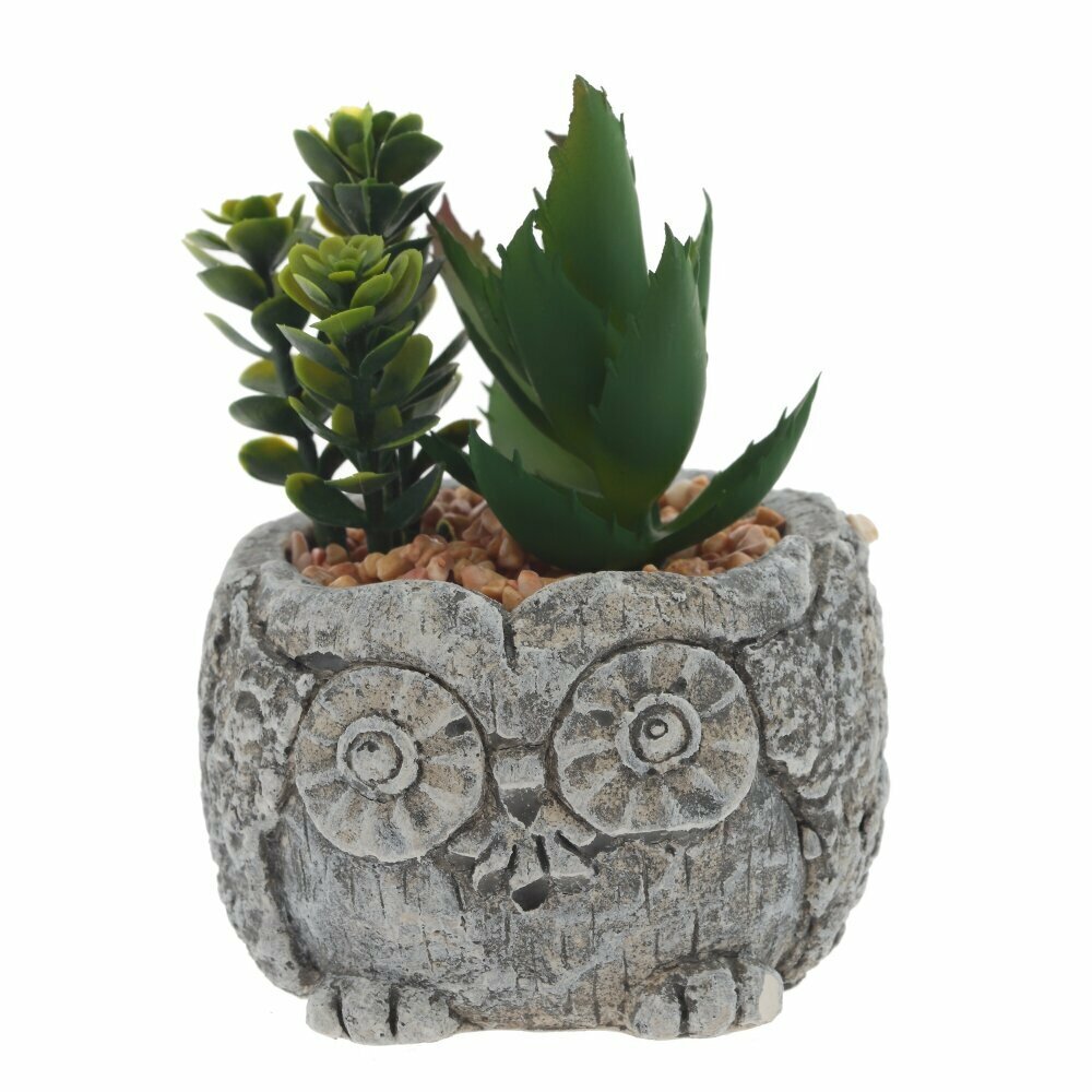 Цветочная композиция Суккулент, 11х11х12 см KSM-814266_3