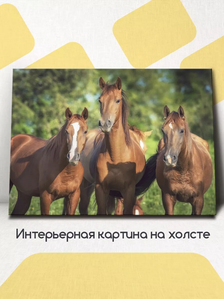 Картина на стену интерьерная Три коня, лошади 60x45 см