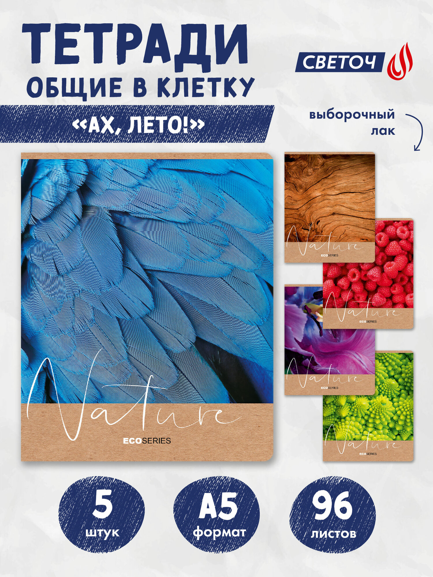 Тетрадь Светоч 96 листов в клетку 5 штук ассорти общая на скобе Ах, лето!